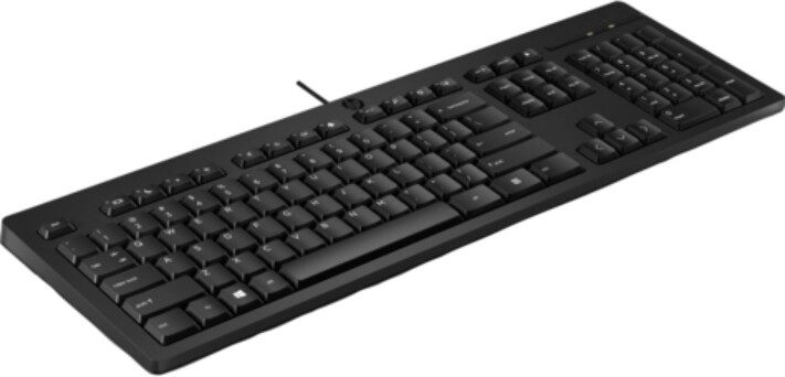 Клавиатура HP 125 Wired Keyboard